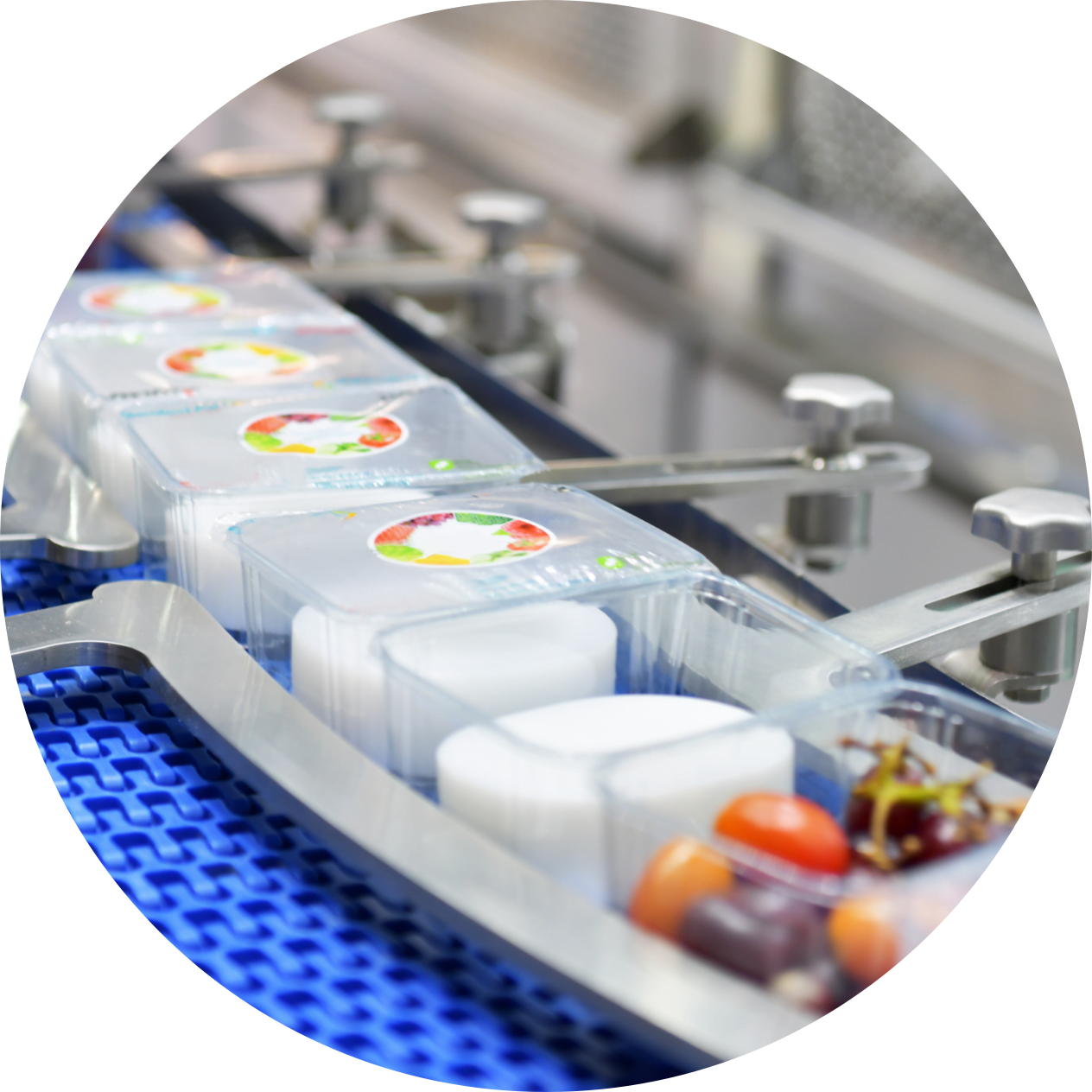 Chi Siamo | Essebi Packaging