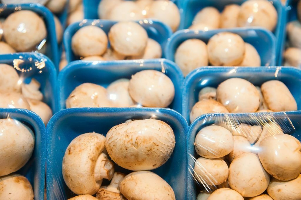 Contenitori Per Alimenti | Essebi Packaging