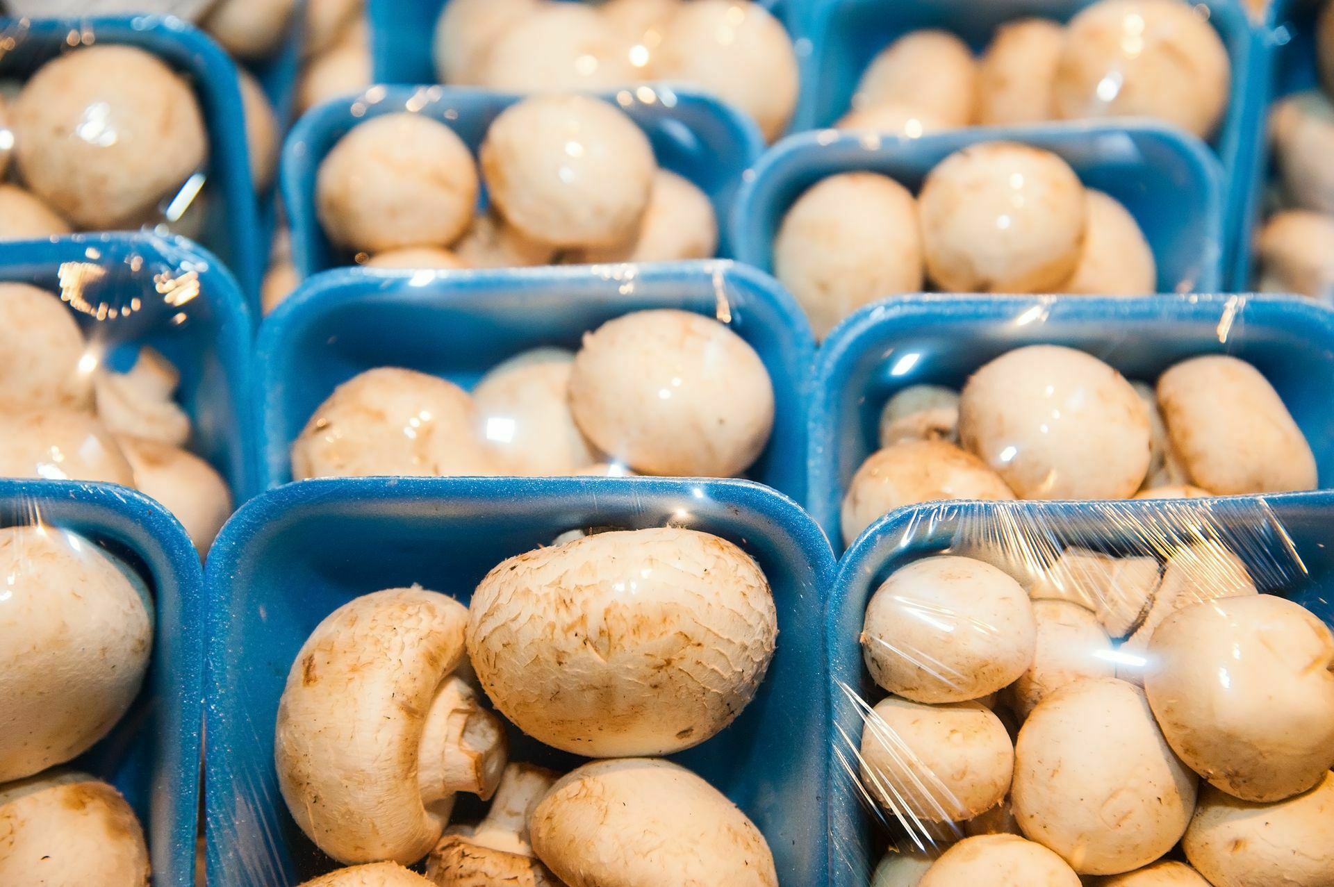 Contenitori Per Alimenti | Essebi Packaging